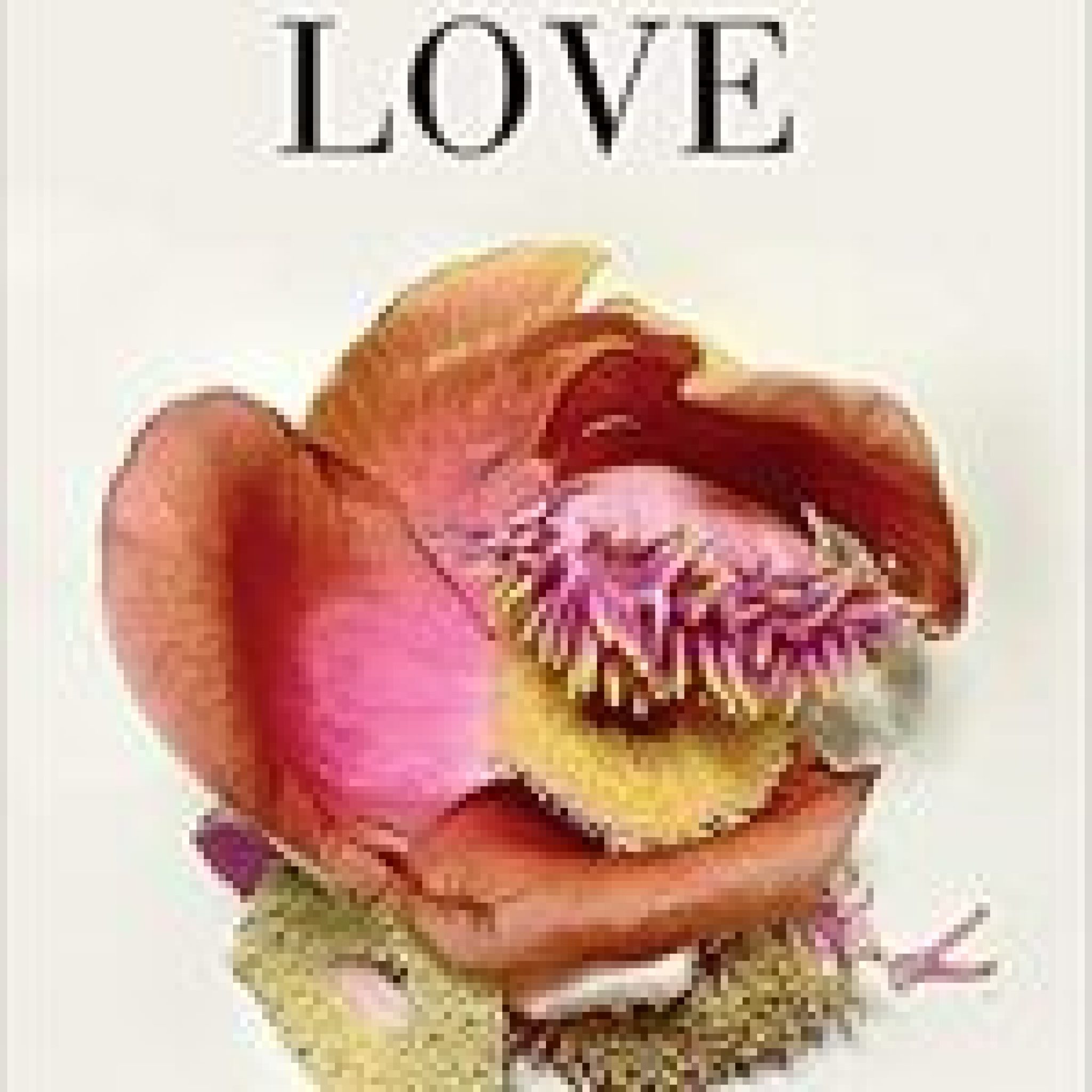 Wendell Rodricks- through the prism of his books - Bookedforlife